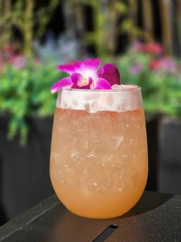 45+ Best Rum Cocktails - Ten To One Rum